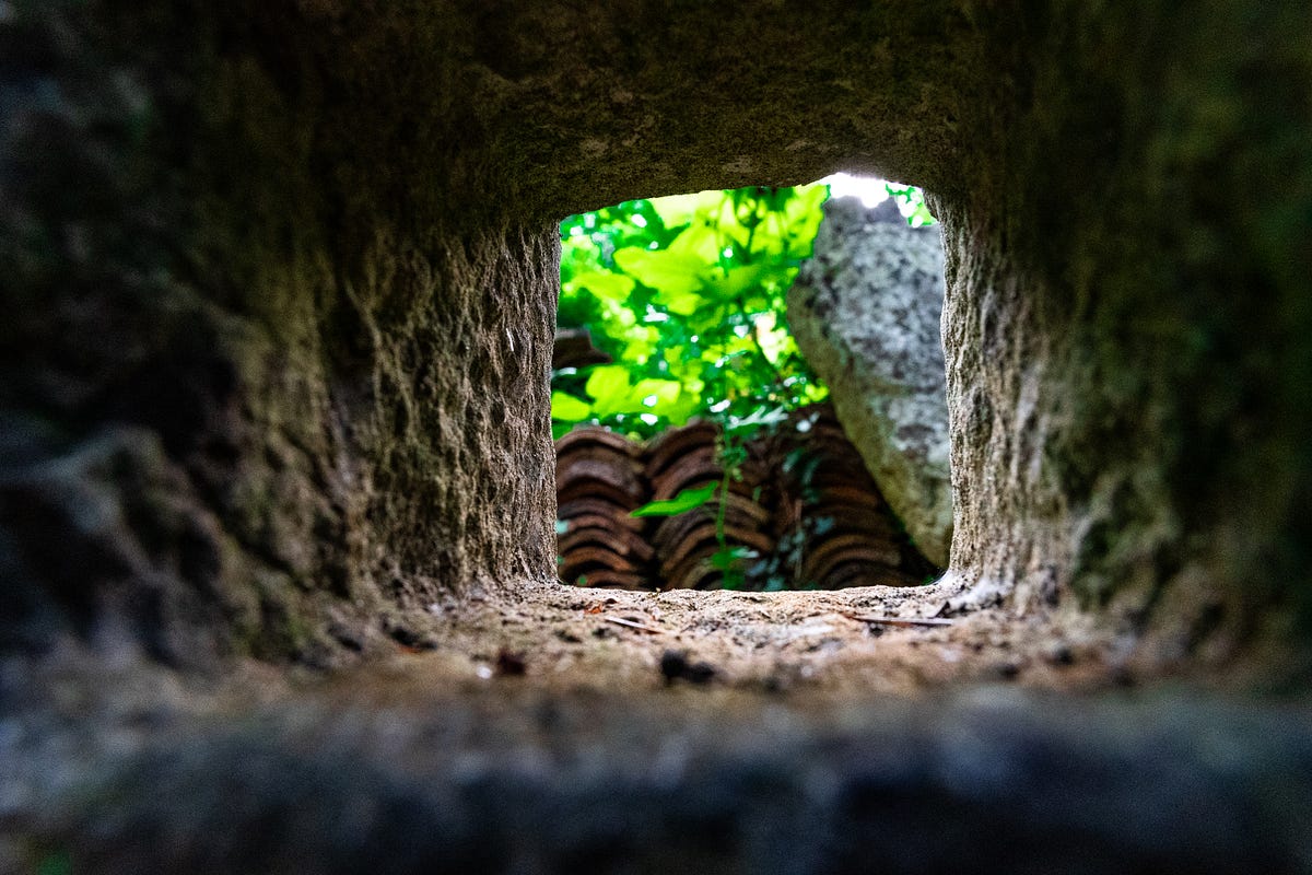 The “Are you ready to add a contributor to your project?” workshop | by Caring Coder ...