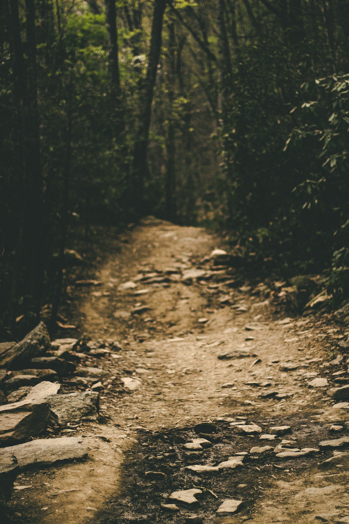Contrary to popular belief…. Off the beaten path is where you will ...