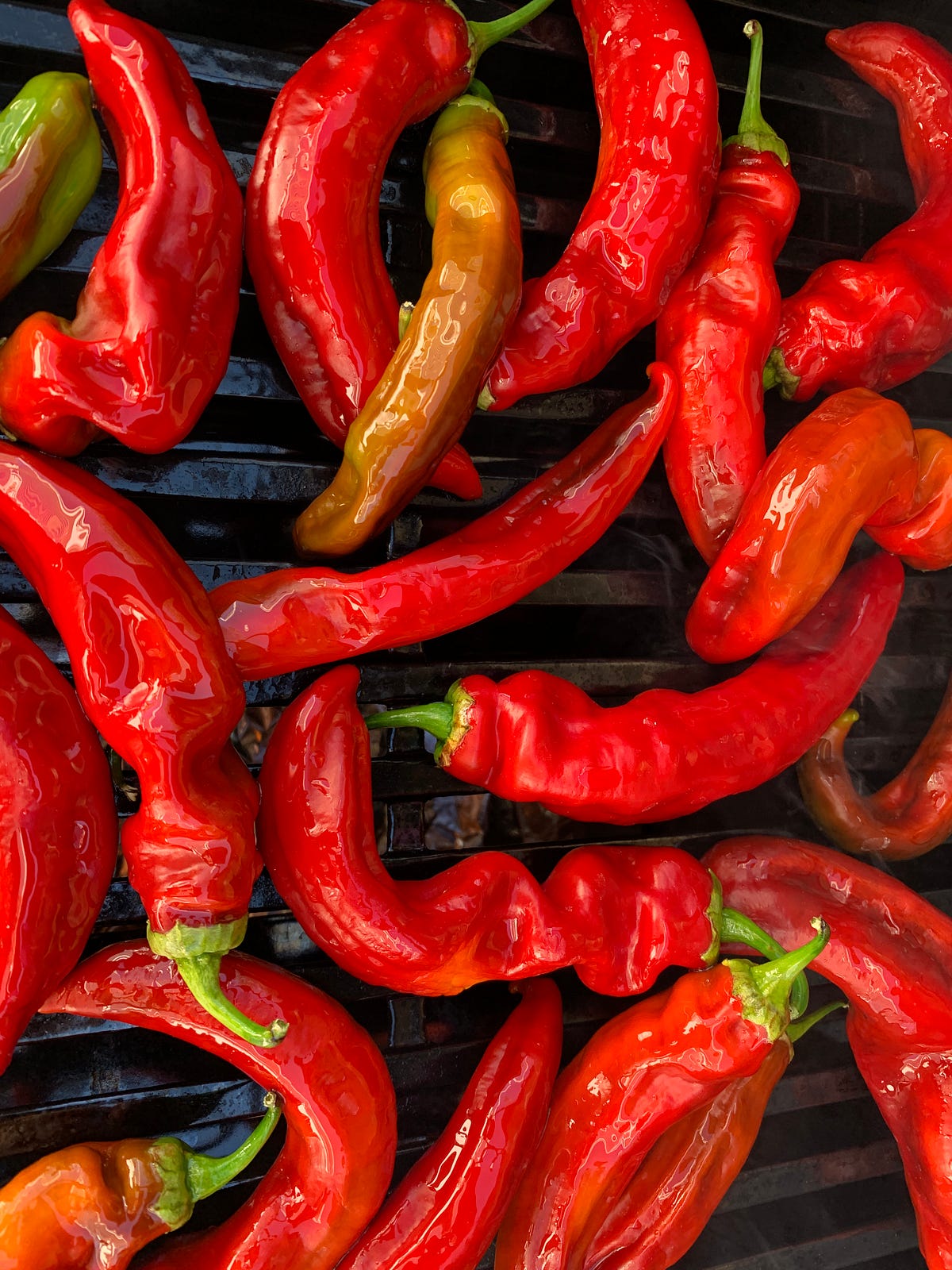 Vegetable Planting Directions Demystified | by Chris | The Haven | Medium