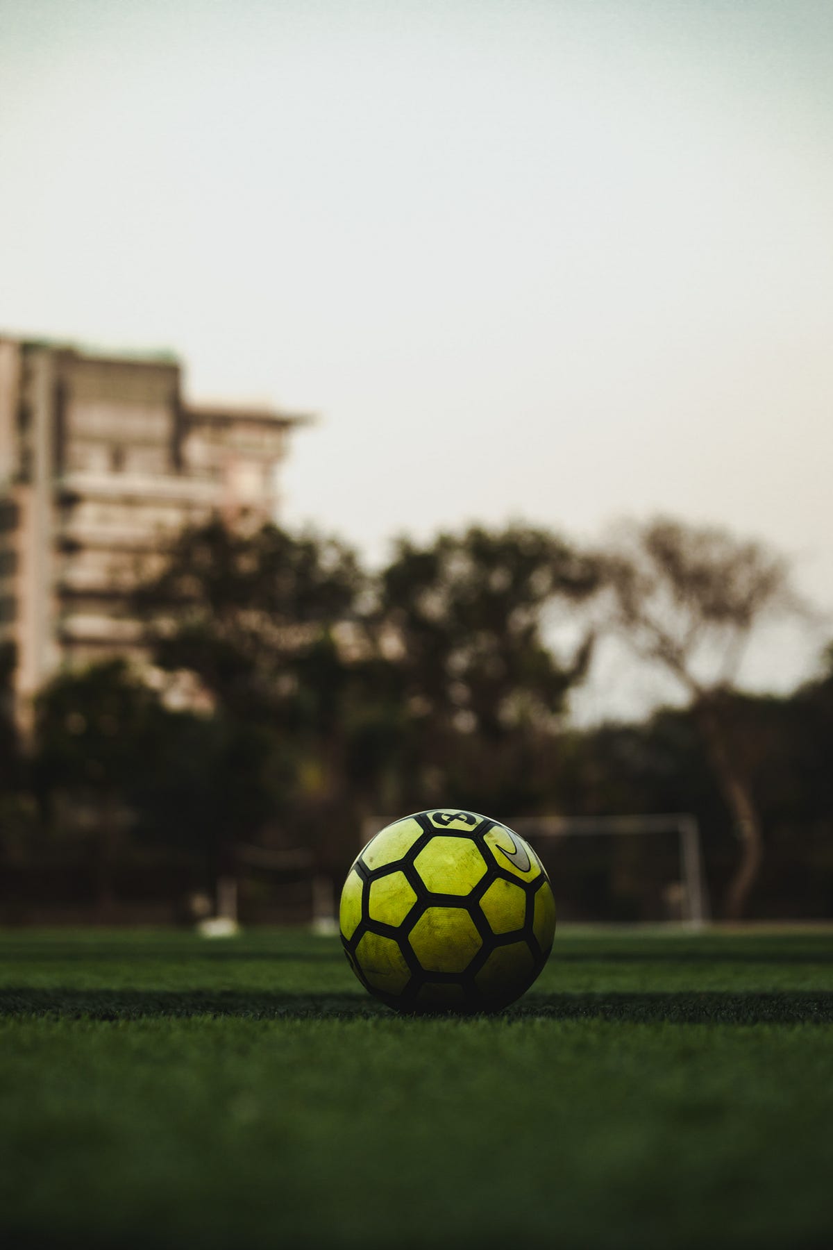 The Unifying Power of Sports: Connecting Cultures and Inspiring Dreams ...