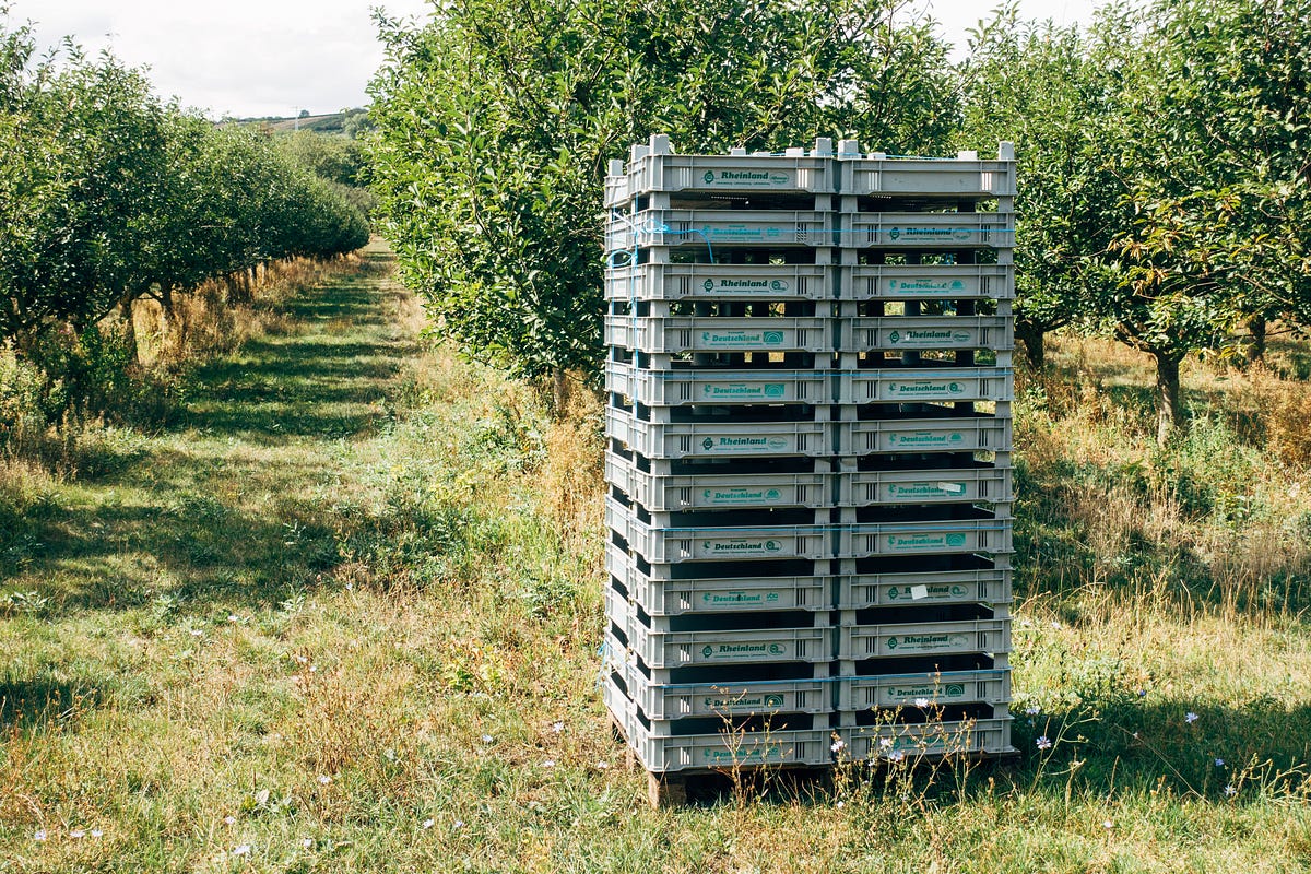 Bundling your TypeScript Node.js modules into a single file with ...