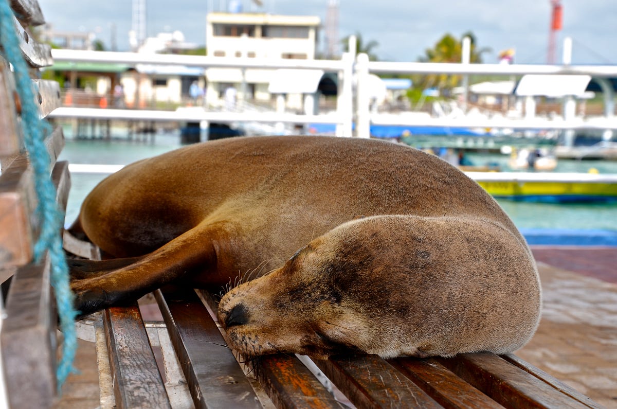 How to power nap like a pro? | The art of power napping | Quick tips ...
