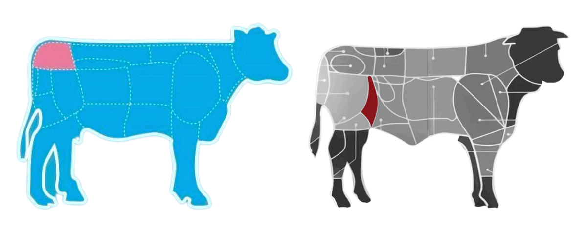What rules regulate our organizations? Lessons of the rump tail | by ...