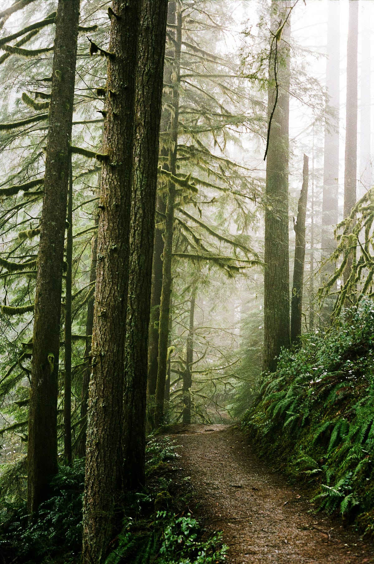 Stop blaming yourself.. One page that could change someone's… | by ...