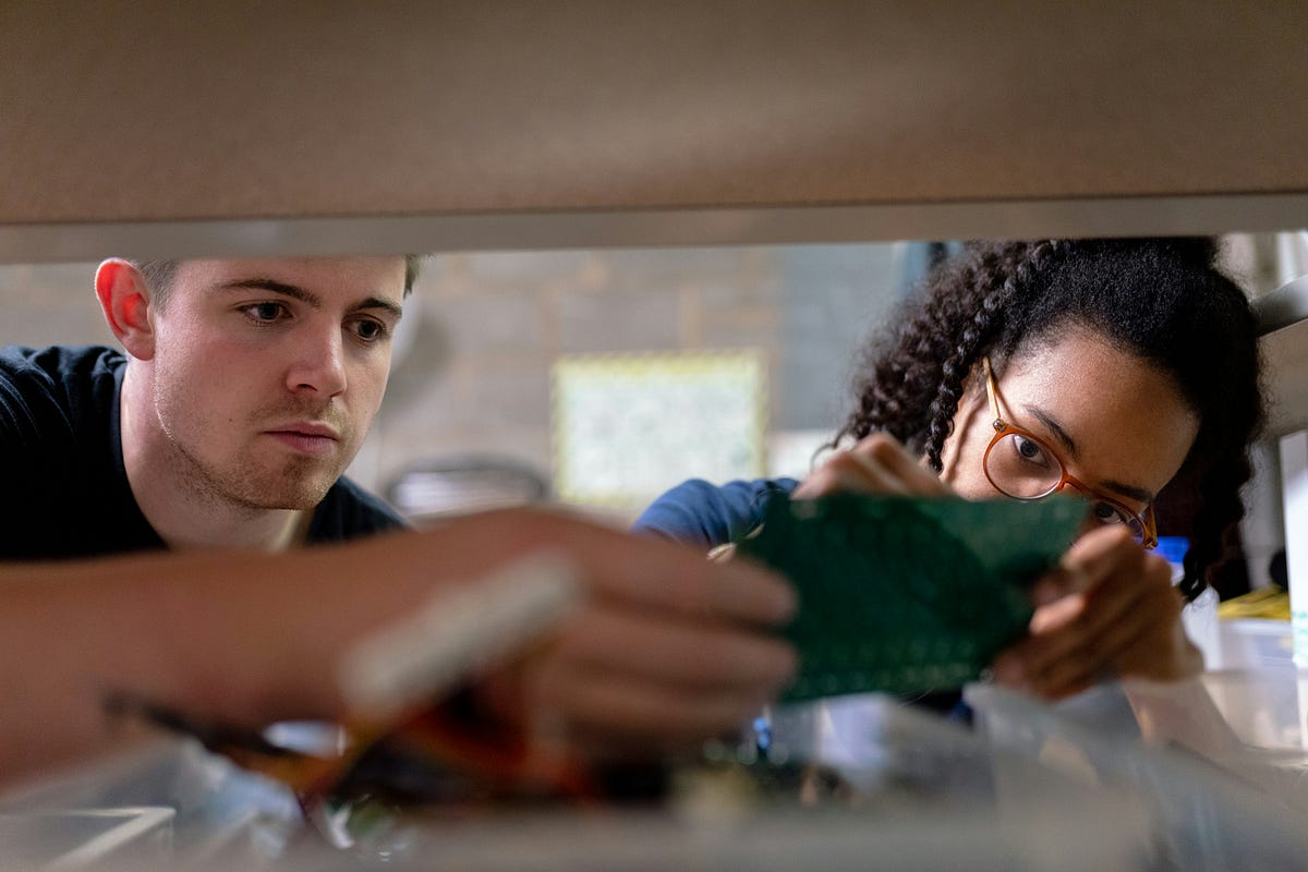 Base64 Encoding in Postman: A Step-by-Step Guide | by Ananya Balehithlu | Sep, 2024 | Medium