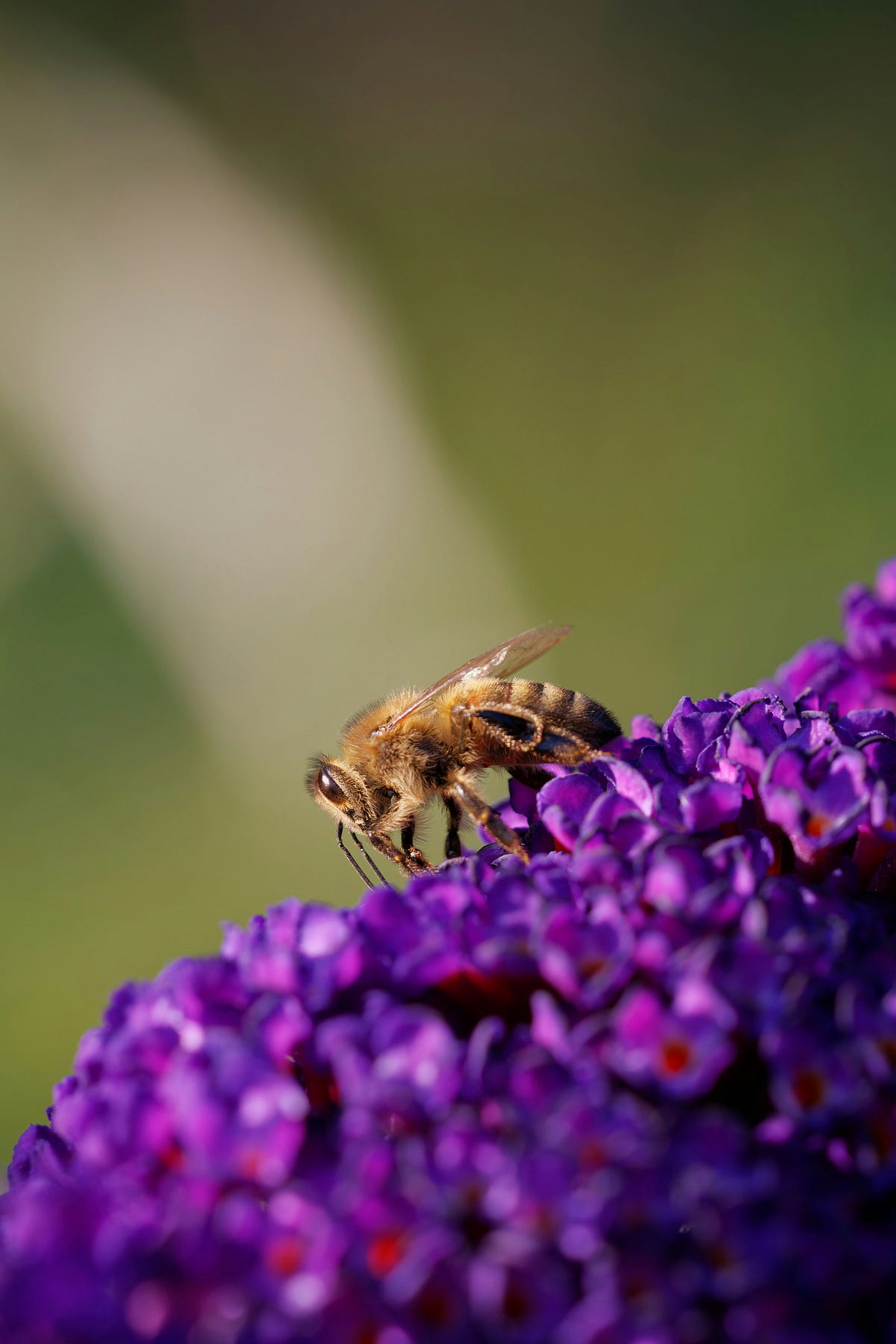 The Art of Bumbling Through Life: A Hidden Scientific Method for ...