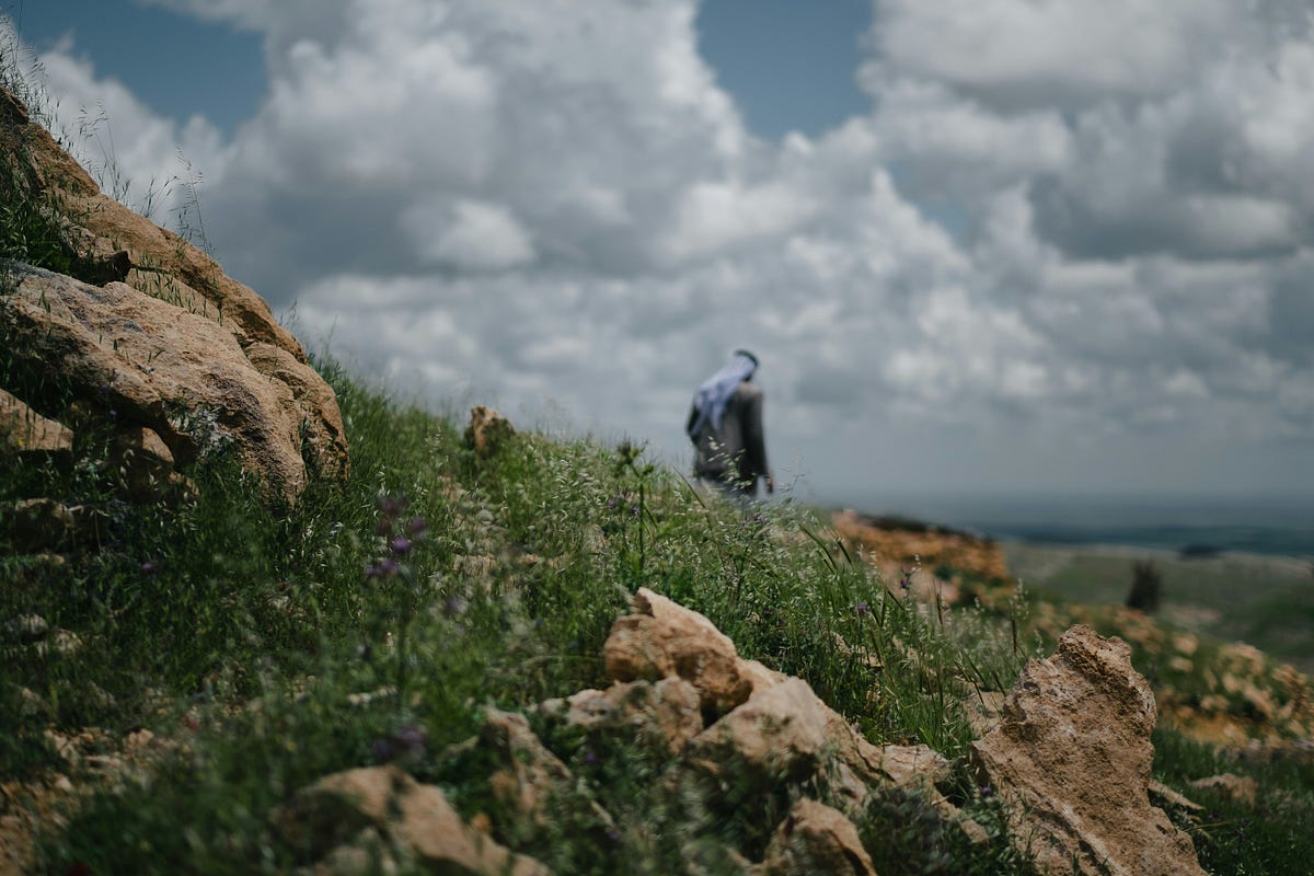 Daniel 1:9–10 — Semitic Language Study | by Blaise Webster | Medium