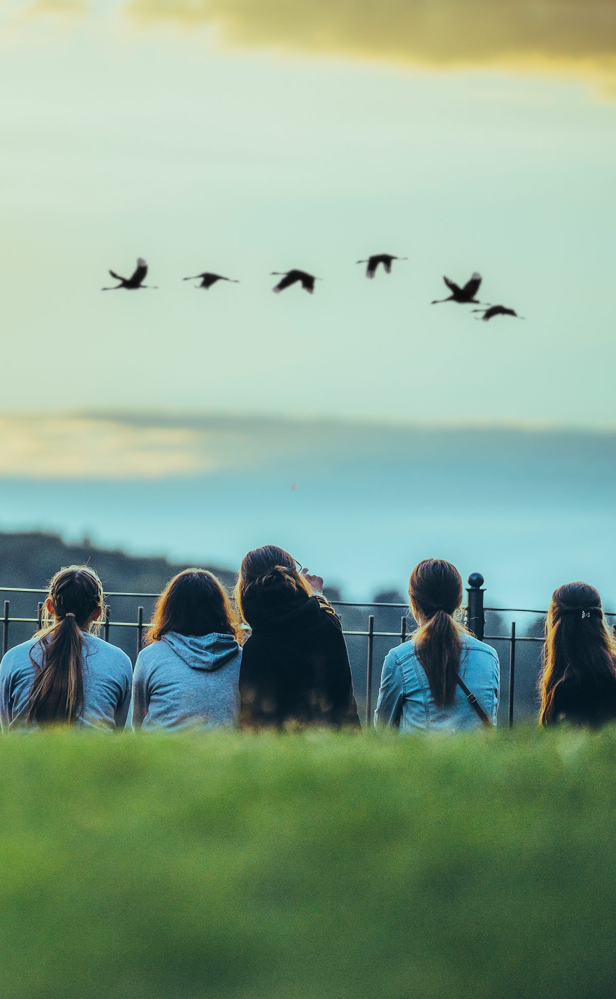 Amigos. Quienes están, quienes vuelven, quienes… | by Diego Salas Madriz | Medium