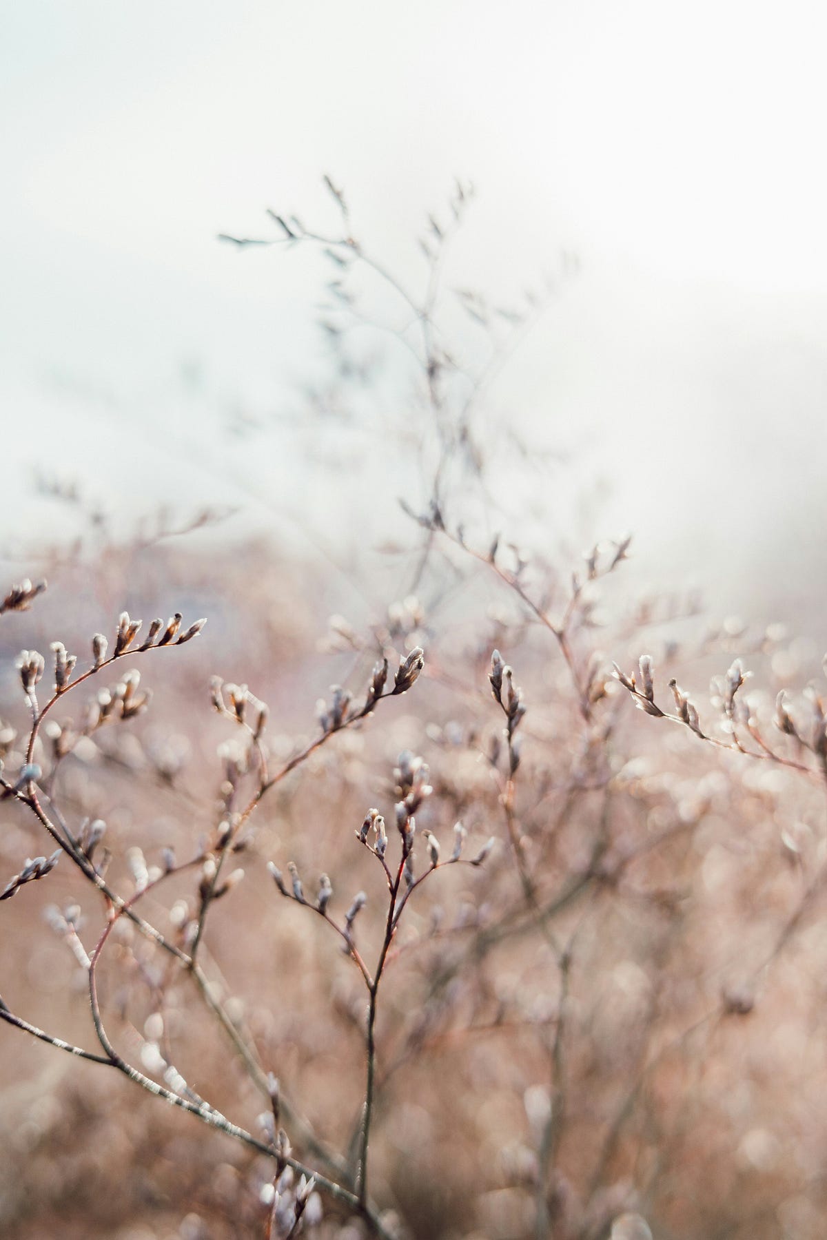 How Does Weather Affect Us?. The Impact The Seasons Can Have | by Sanaa ...