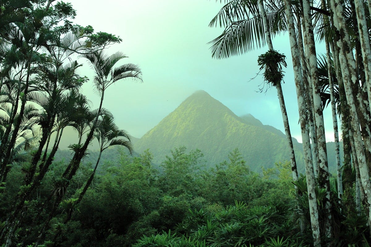 Escaping the SQL Jungle. Bringing Software Engineering… | by Mike Huls ...