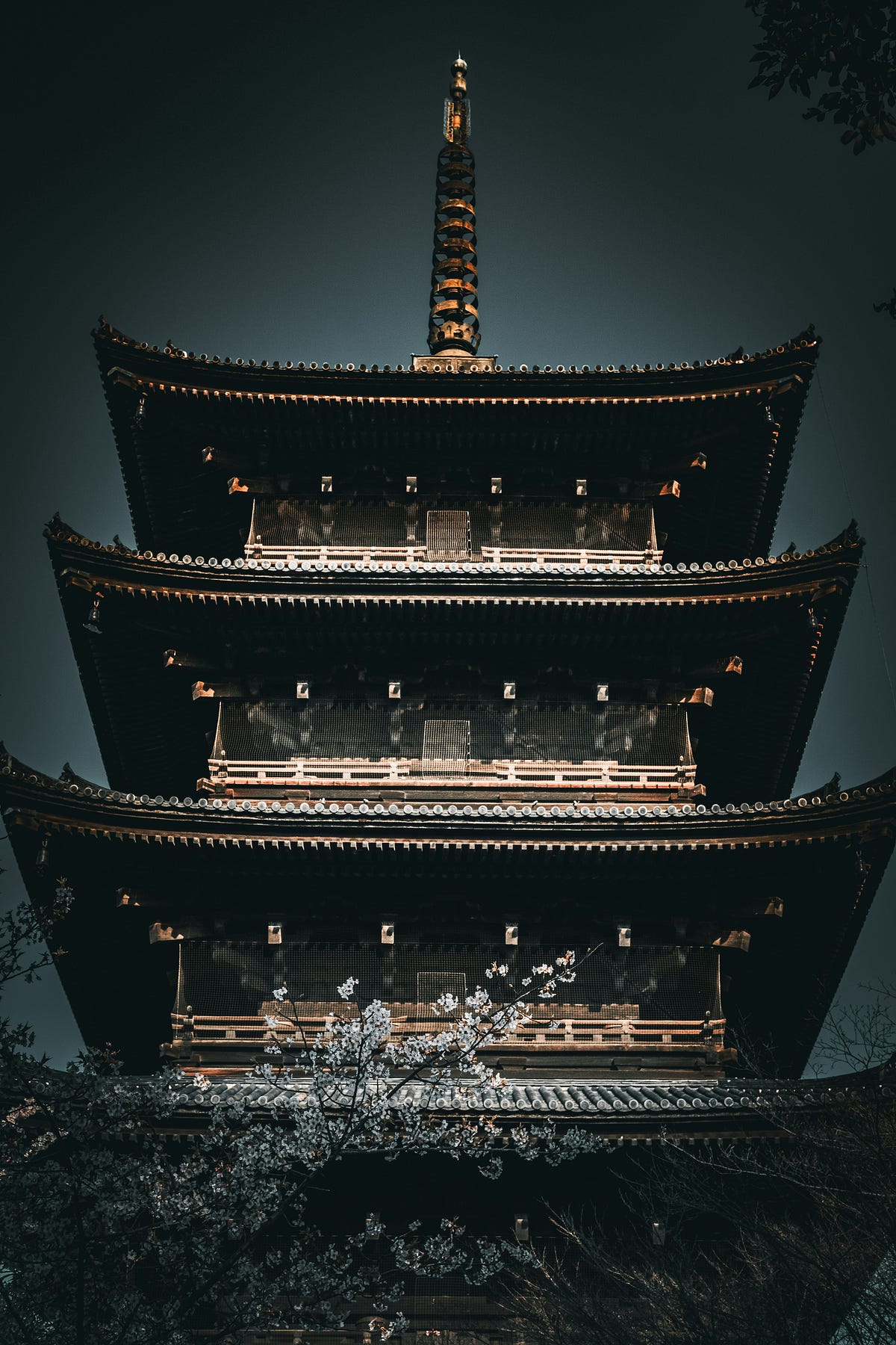 Kyoto’s Iconic Toji Temple: A Landmark of Heritage | by Yin-Le Wang ...