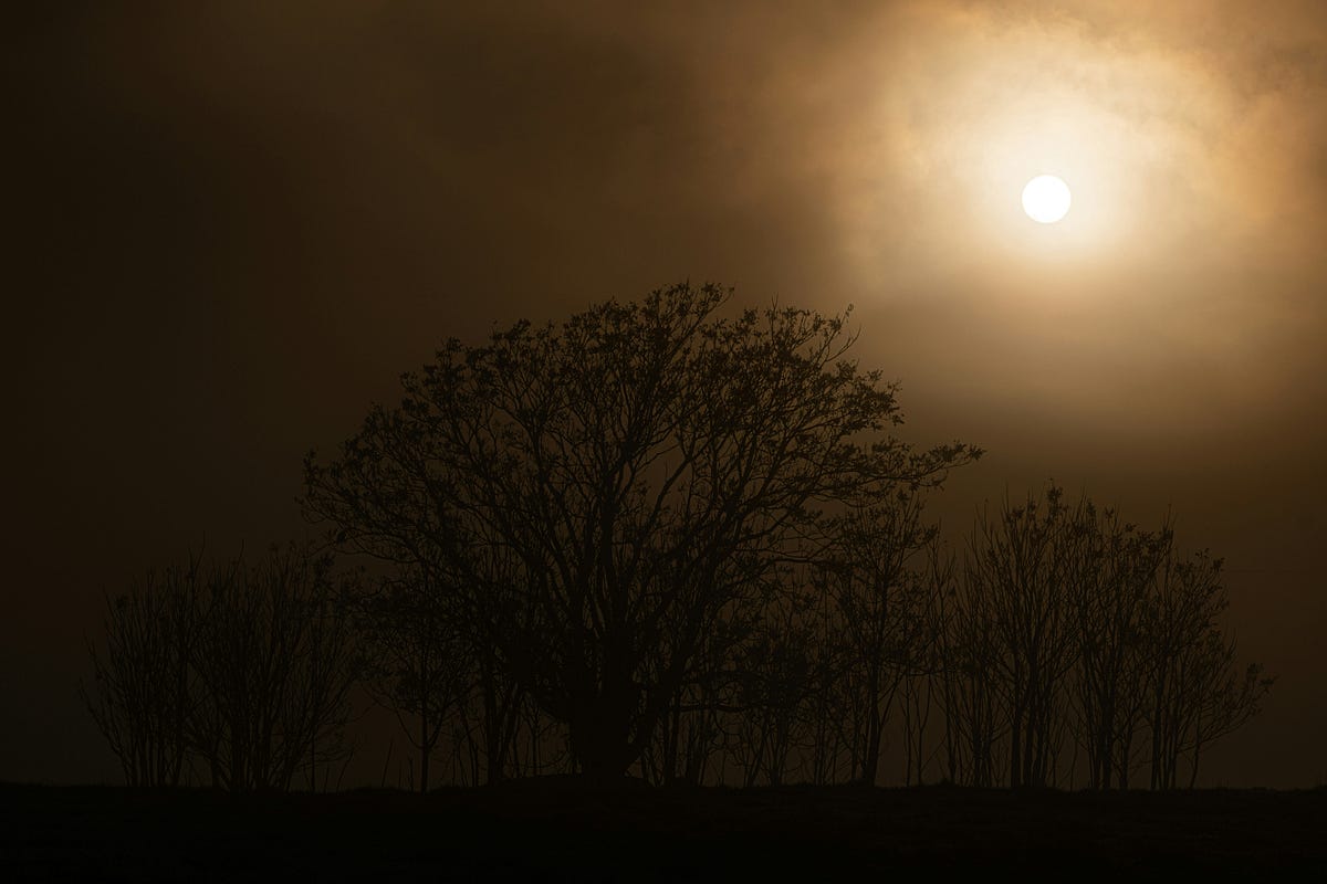 Will - Zen Poetry - Medium