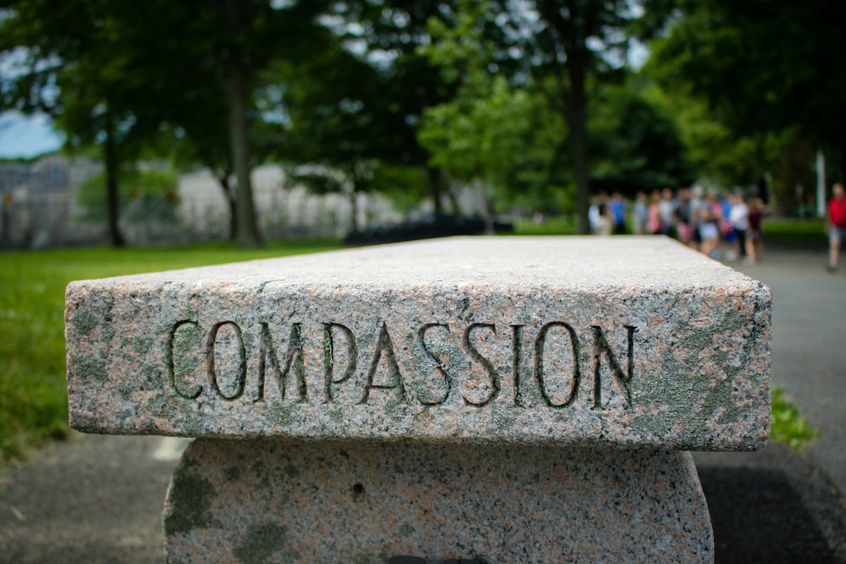 Rebel, Rebel. People with courage, compassion… | by Michael Campi ...