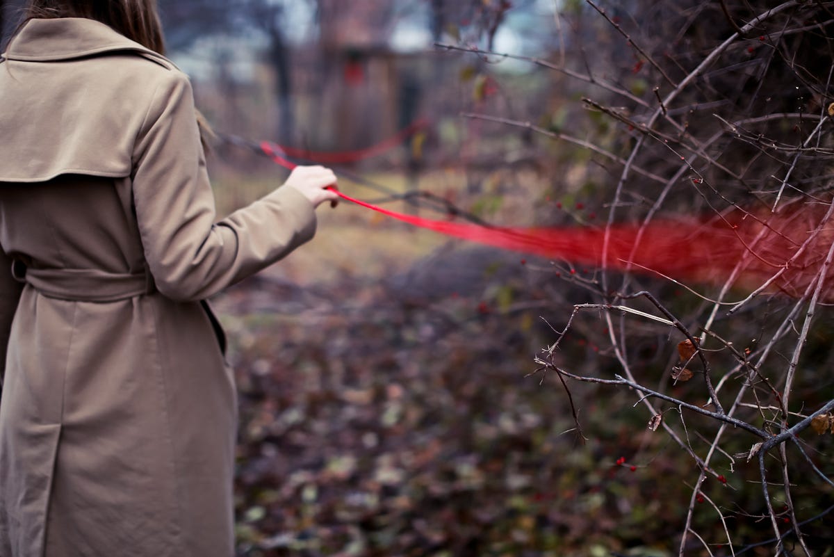 Follow the Red Thread. How to Begin a Journey of Ancestral… | by ...
