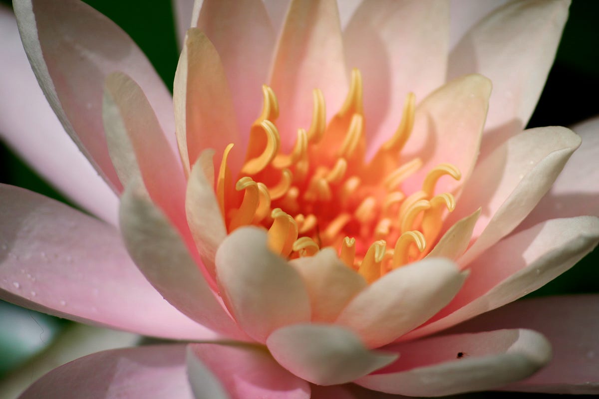 Using Vue Keep-Alive Component to Save the State of Dynamic Components | by John Au-Yeung ...