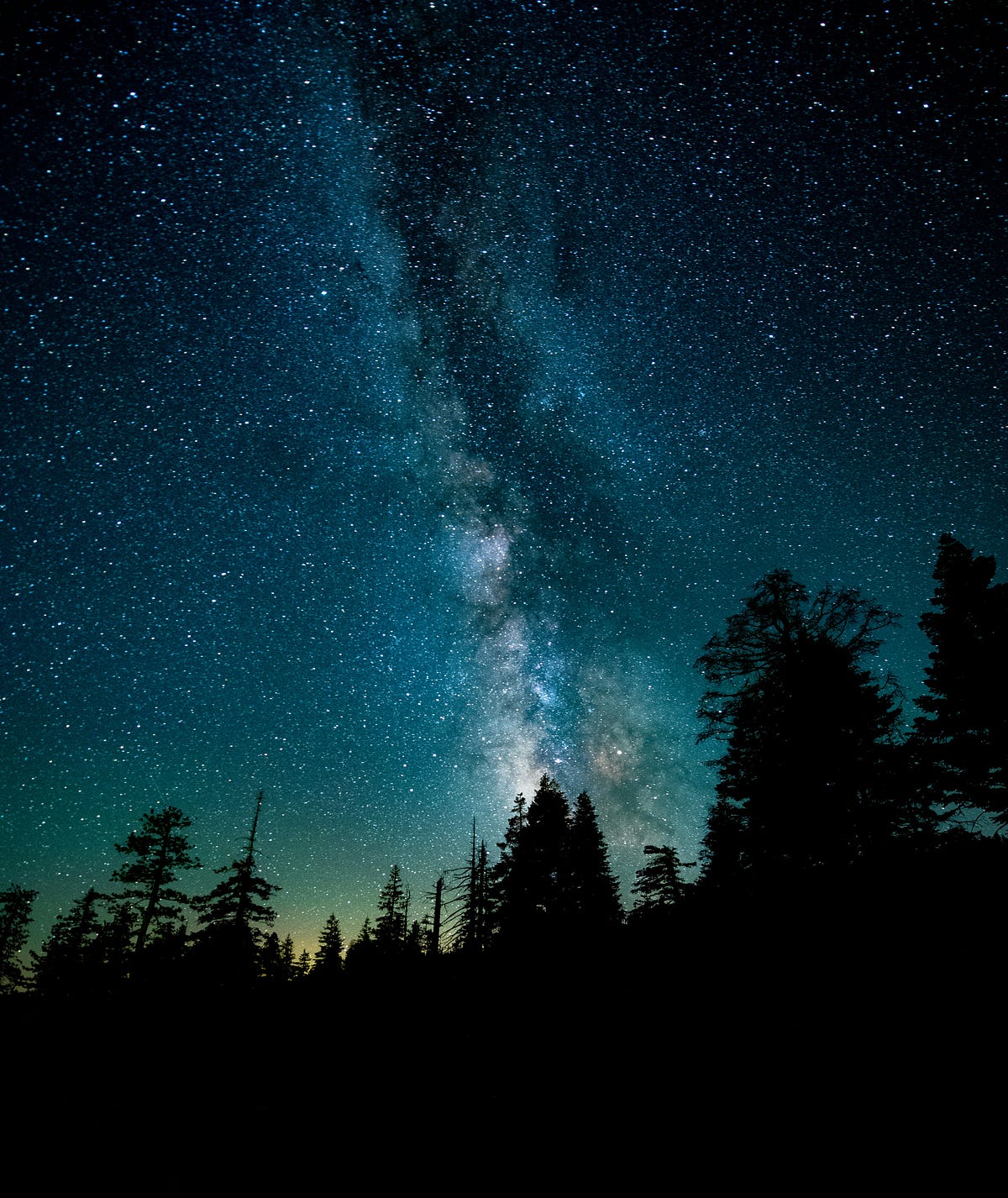 The Darkest Night. My dear love, The long dark night… | by Denee ...