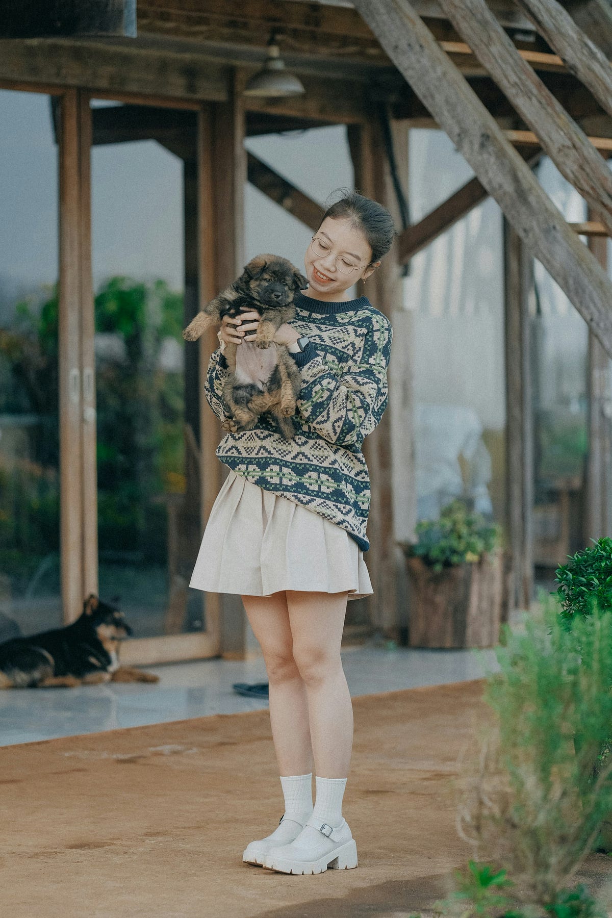 Limericks On Animals. Don’t Forget Your Pet | by Sam David Parker🌸 ...