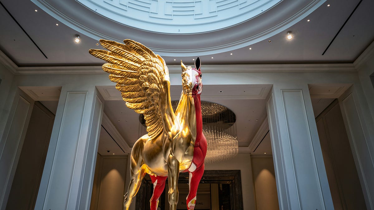 The Elf Who Found Freedom in a Unicorn’s Eyes | by Swati Roshan Patil ...