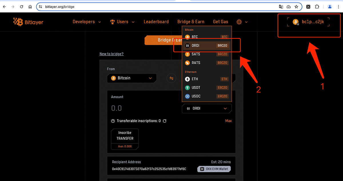 Bitlayer Official Bridge — BRC20 Asset Bridging Tutorial | by Bitlayer | Jun, 2024 | Medium