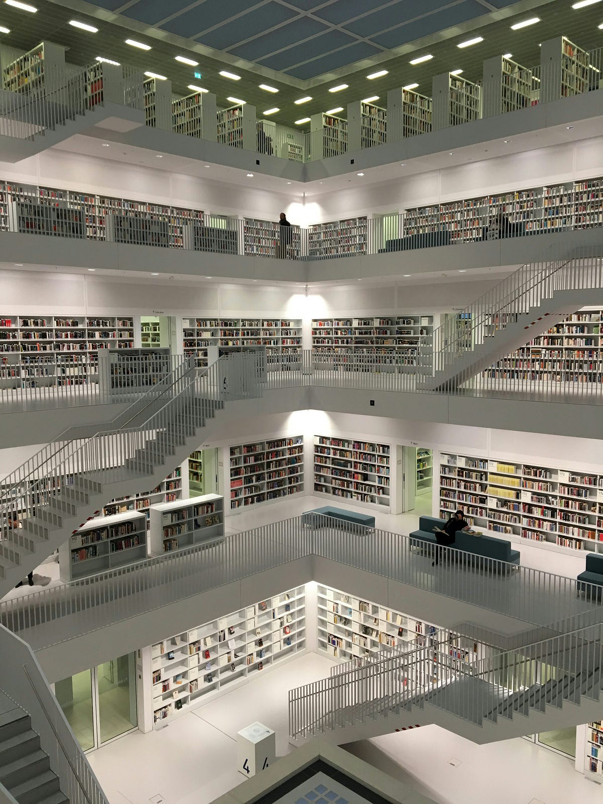 The Living Library: How Quad Rights Are Reshaping Reality in the Age of ...