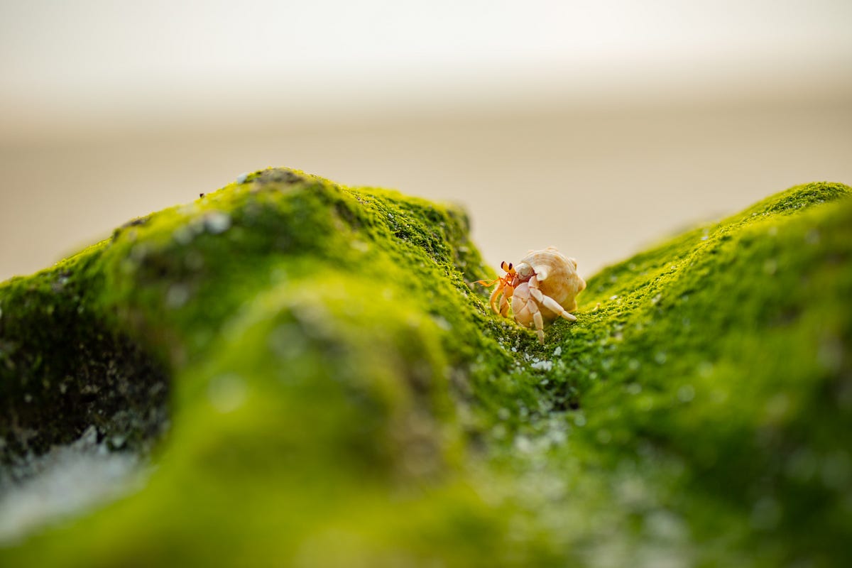 Hermite Functions: All You Need to Know | by Mathcube | Math Simplified ...