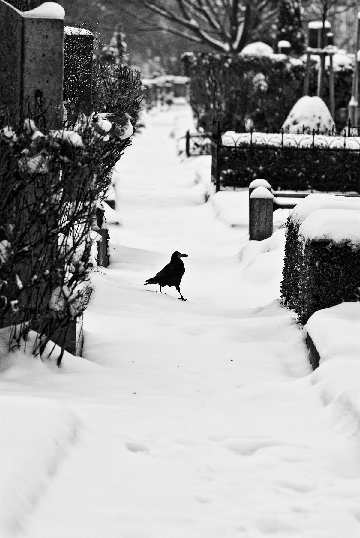 What “Heavy Grace” Reveals About Grief | by William Matthew McCarter | London Literary Review ...