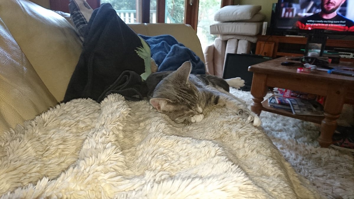 My Hysterectomy as a Trans Masc Ace | by Queer Quill | Medium