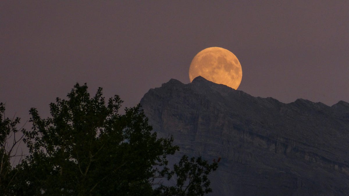a magnificent object: the moon.. Its silver light and beauty whisper of ...