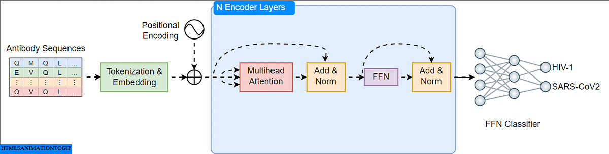 Building Transformer Models for Proteins From Scratch | by Yuan Tian ...