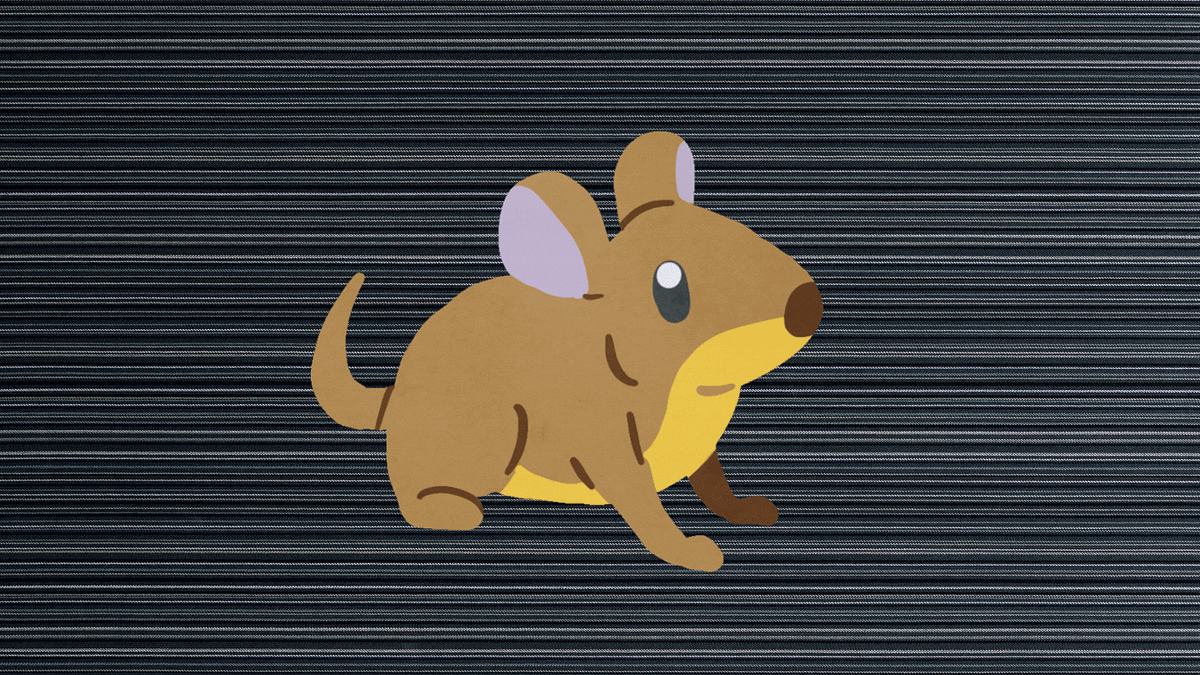 How could hallucinations of mice help blind people? | by Veronika ...