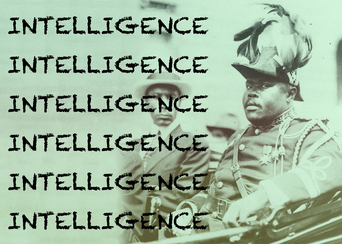 10 Tips On Intelligence By Marcus Garvey | by LaDarius Dennison | AfroSapiophile | Medium