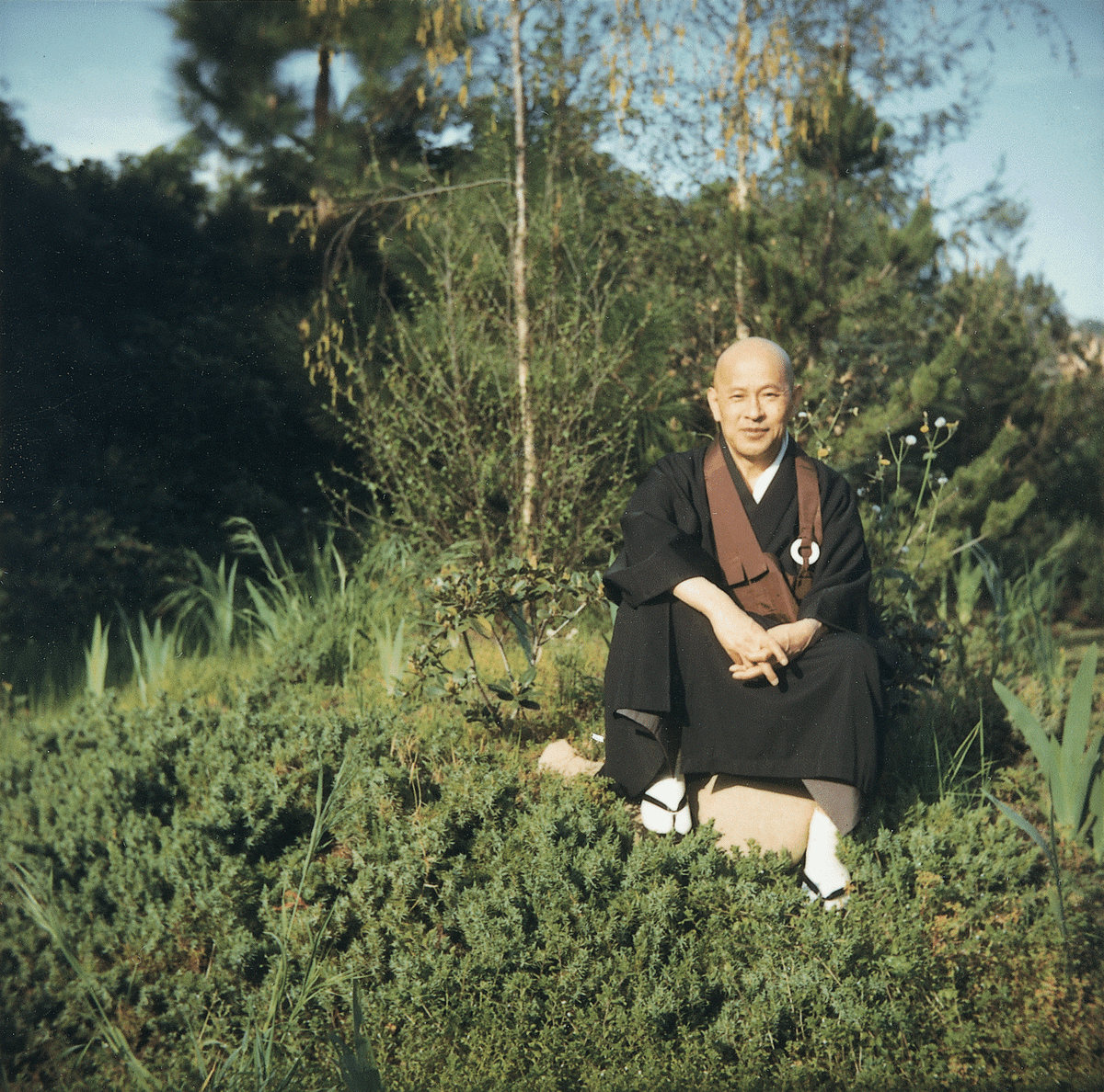 Nothing special. A crash course in Zen | by Victor Svedberg | Medium