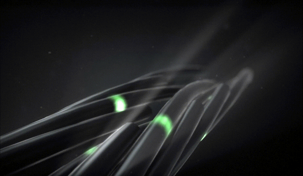 The meaning of motion design. What is motion design? And, more… | by ...