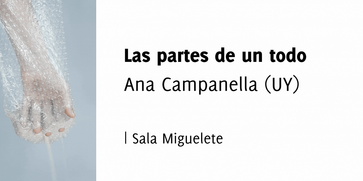 Las partes de un todo surge de la imponente imagen que me fue relatada ...