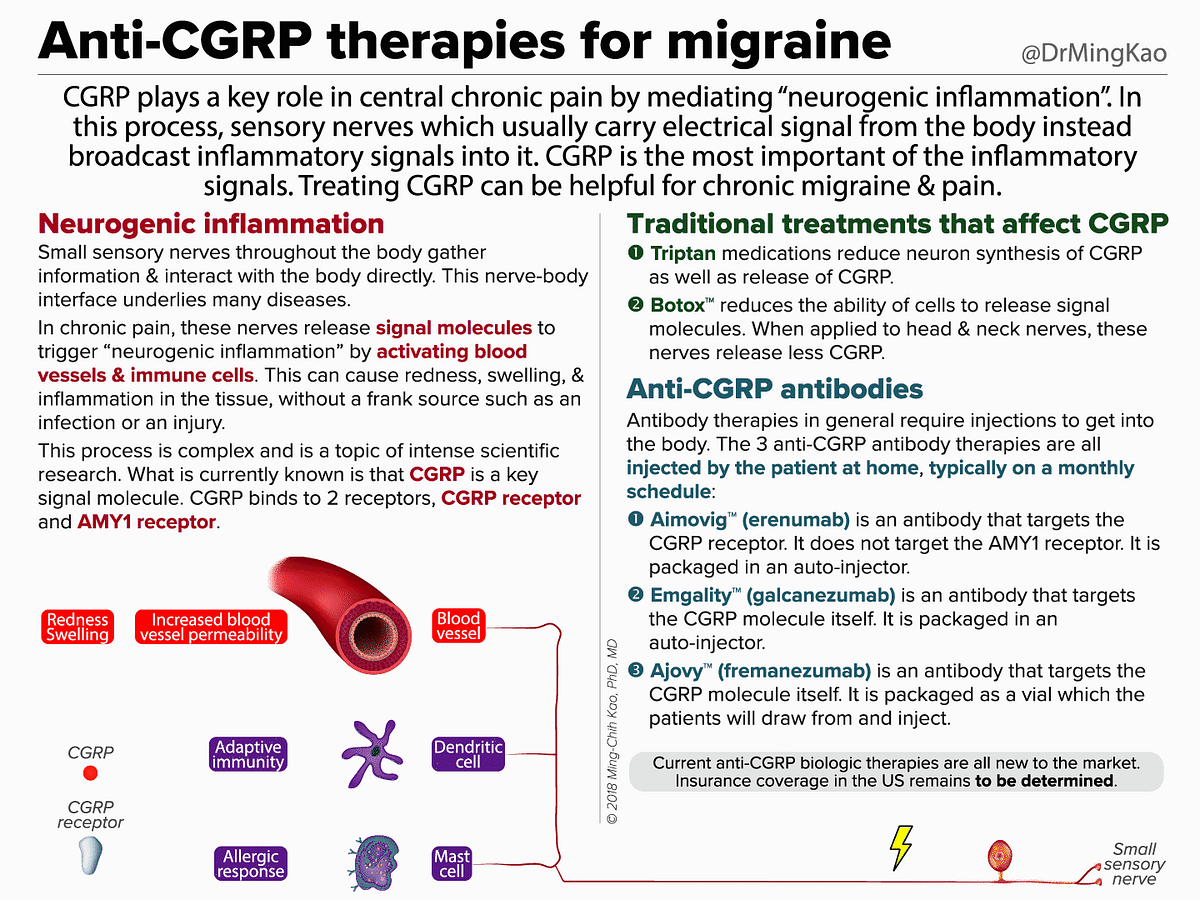 Anti-CGRP therapy for migraine. CGRP plays a key role in central… | by ...