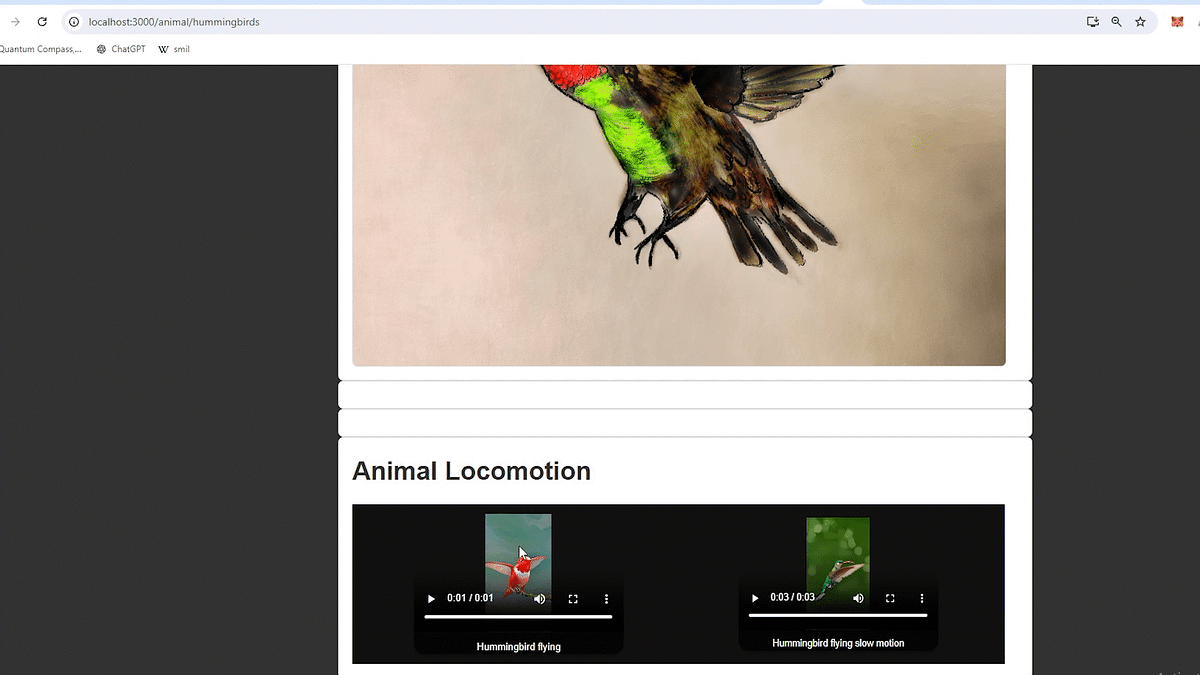Most Beautiful Video Player Gallery React Component with CSS — Devlog #5 | by Pablo (Apes ...