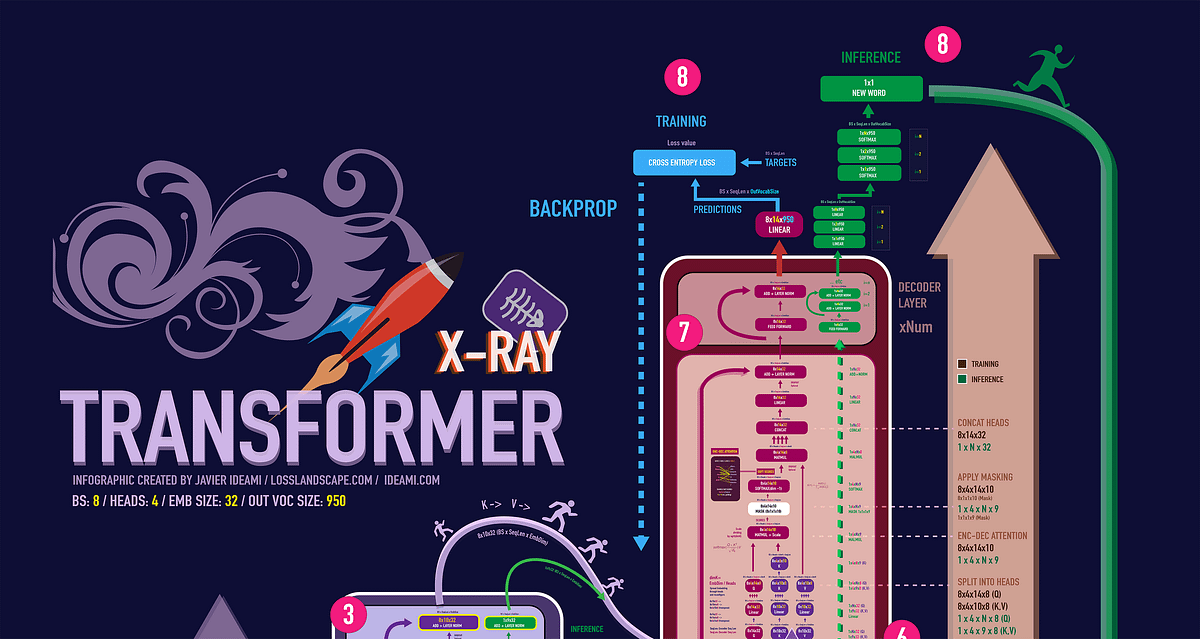 X-Ray Transformer Infographic. An all in one x-ray of the model that ...