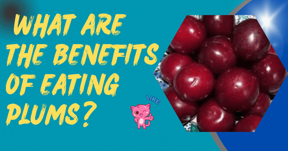 What are The Benefits of Eating Plums? - Swatikhan - Medium