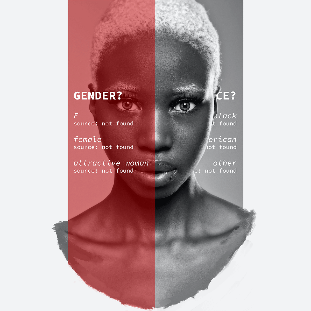 How We’ve Taught Algorithms to See Identity | by Morgan Klaus ...