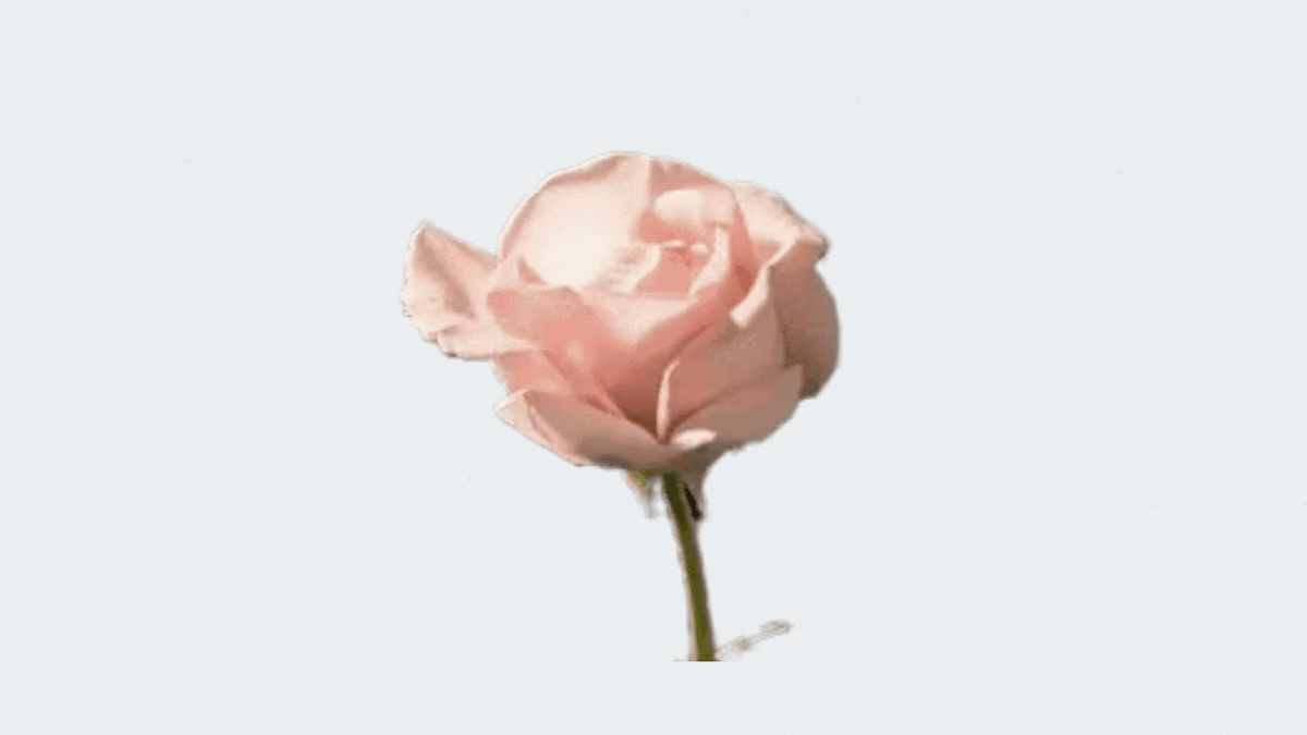 Embracing the Flow of Creativity. The cursor blinks. The screen stays… | by Angeline Cu | Mar ...
