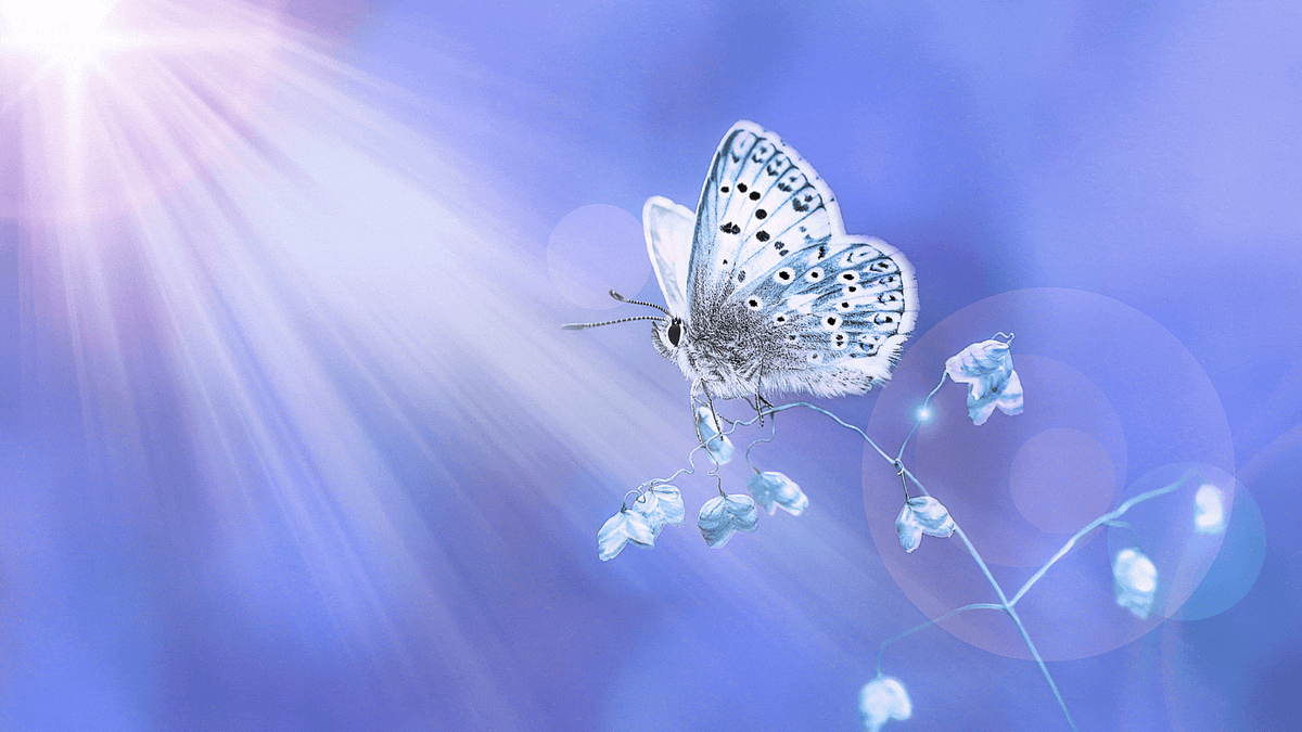 When To Embrace The Unfamiliar. What would you do if you were faced… | by ...TT Andromeda-Love ...
