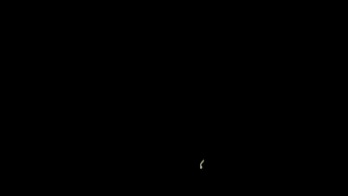 Simple Quantum Mechanics Animation Using Manim | by Bekele Erko | Medium