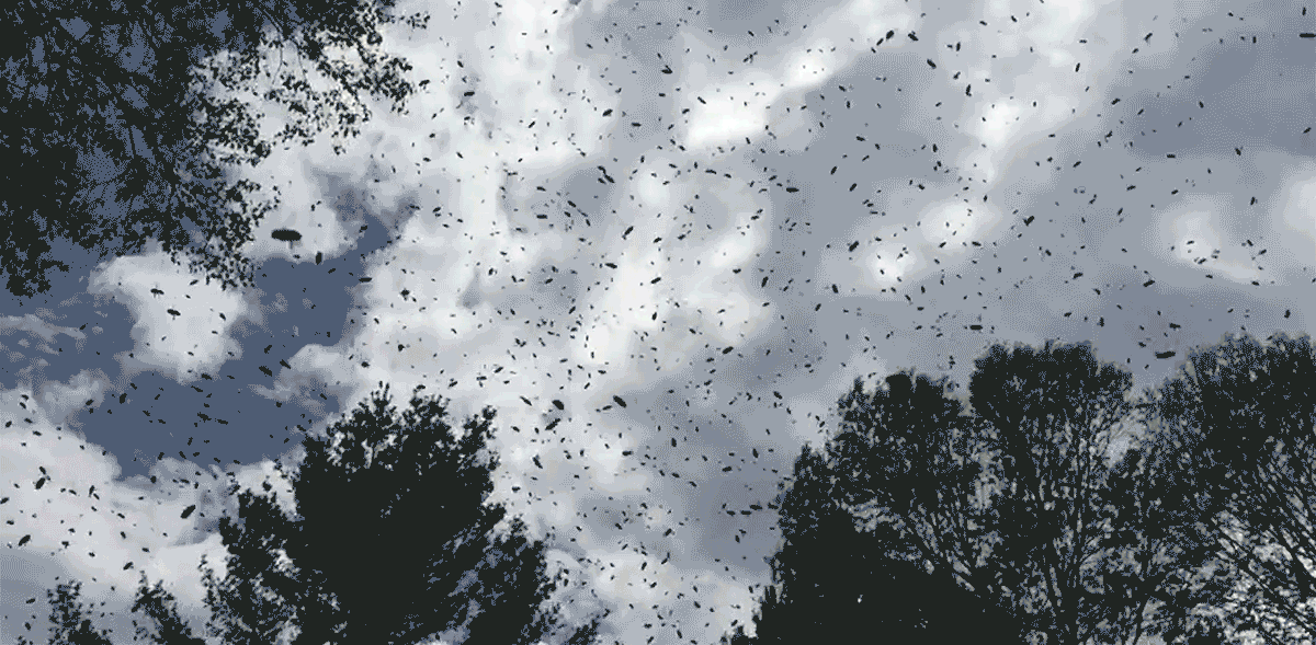 Particle Swarm Optimization. There are many optimization methods in ...