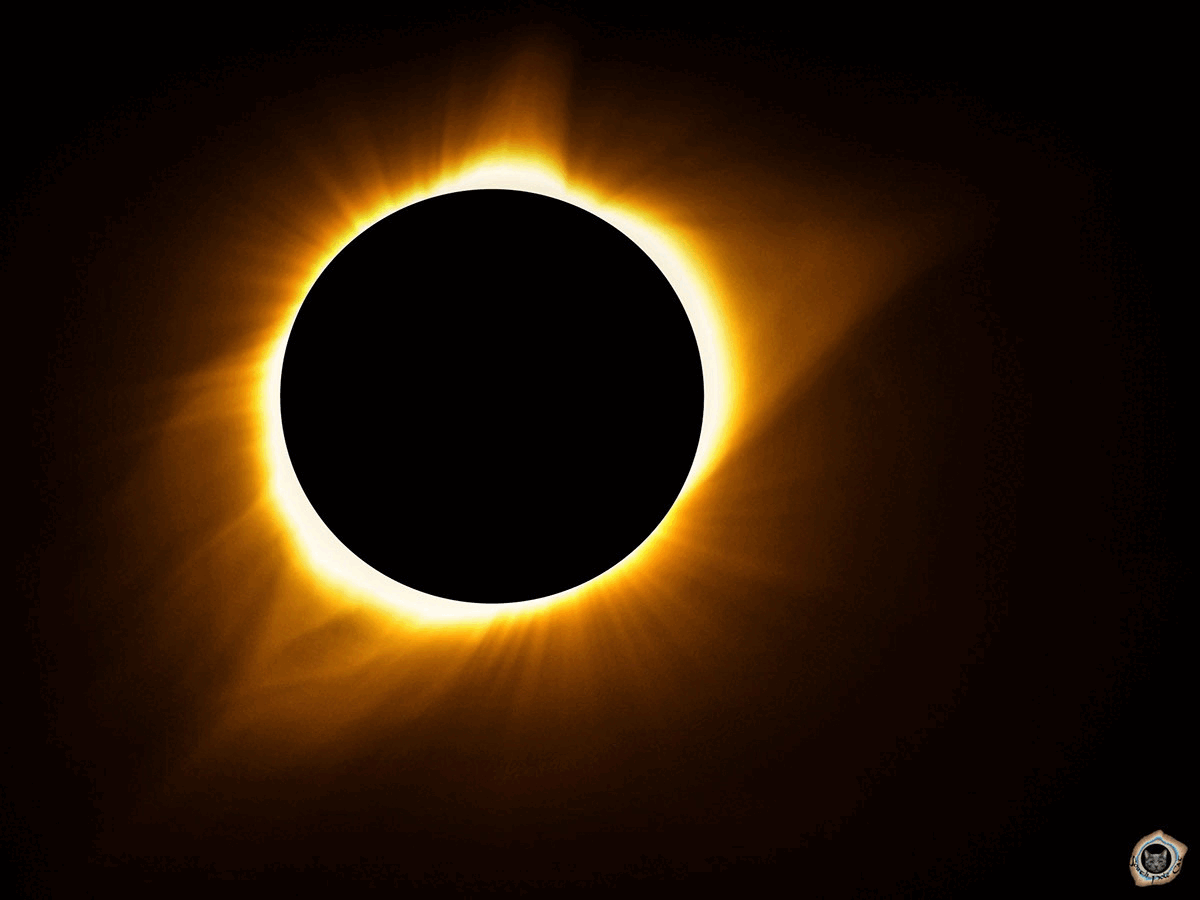 Solar Eclipse Phoenix: Spectacular Astronomical Phenomenon - Pat G ...