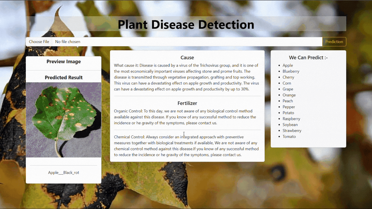 Plant Disease and Fertilizer Detection Flask-App- with 99.81% Accuracy ...