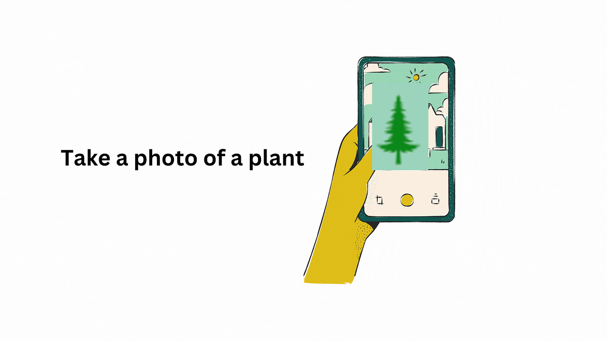 Tree Geotagging with Object Detection Development | by daniel yoga | Medium