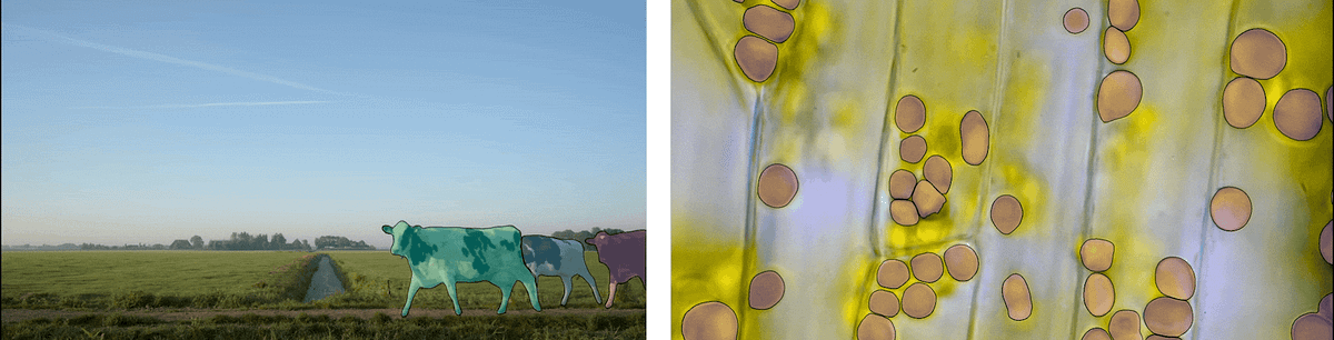 Segment Anything Model Explained Sam Promptable Segmentation And The… By Louis François