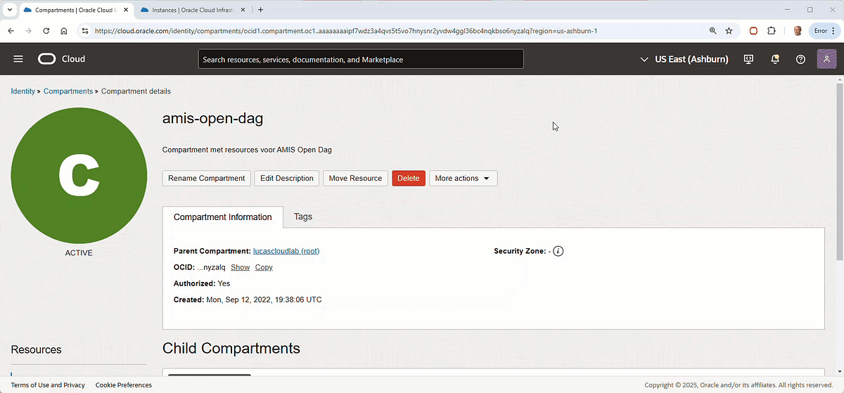 Oracle Cloud Projects Browser Extension | by Lucas Jellema | Oracle ...