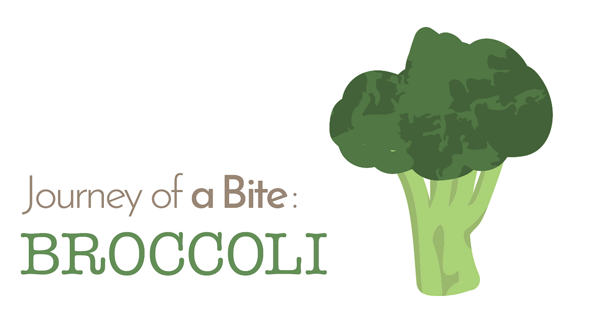 Journey of a Bite: Broccoli. Some call it Brassica oleracea but you ...