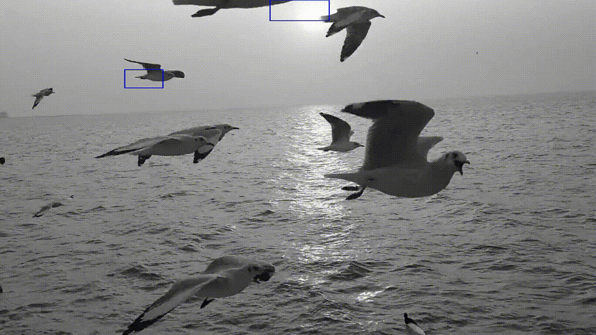 How to use TouchDesigner BlobTrack TOP into your creative projects | by ...